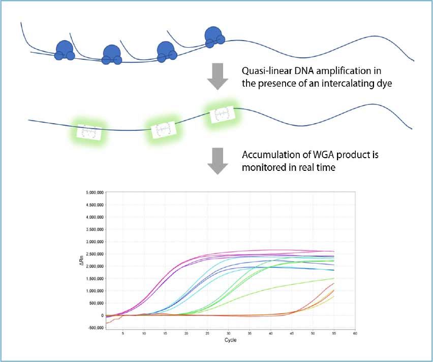 Real-time PTA - BioSkryb Genomics