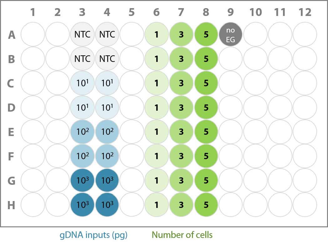 Real-time PTA - BioSkryb Genomics